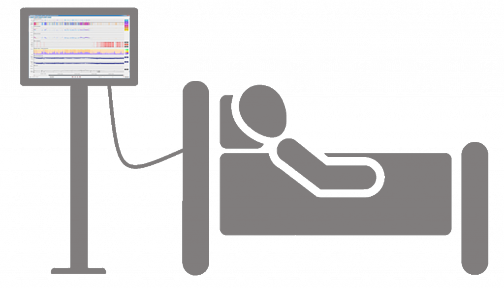 encevis Epilepsy - encevis